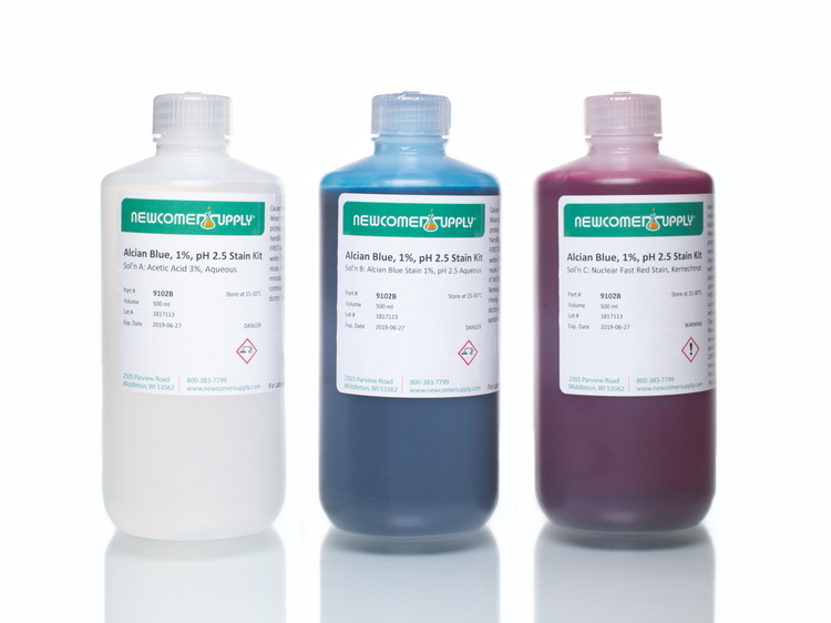 Alcian Blue Stain Kit